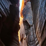 Wire Pass Trail, Utah - 3,097 Reviews, Map | AllTrails
