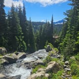 Myrtle Falls Viewpoint via Skyline Trail, Washington - 4,693 Reviews ...