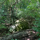 Bear's Den Park Trail, Virginia - 2,816 Reviews, Map | AllTrails