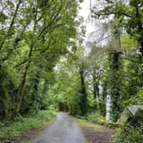 Llyn Padarn Lake Walk, Gwynedd, Wales - 803 Reviews, Map | AllTrails