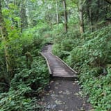 Japanese Gulch Loop Trail, Washington - 1,264 Reviews, Map | AllTrails