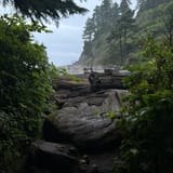 Ruby Beach, Washington - 1,886 Reviews, Map | AllTrails