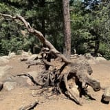 Severance Mountain, New York - 1,091 Reviews, Map | AllTrails