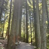 Washington Park Loop, Oregon - 1,946 Reviews, Map | AllTrails