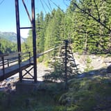 Tahoma Creek Suspension Bridge, Washington - 118 Reviews, Map | AllTrails