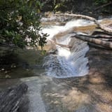 Davidson River Trail to Whaleback Falls, North Carolina - 170 Reviews ...