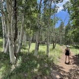 Aspen Nature Loop, Arizona - 2,374 Reviews, Map | AllTrails