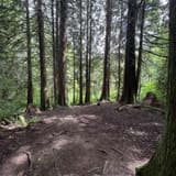 Wildside Trail, Washington - 199 Reviews, Map | AllTrails