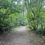 Wildside Trail, Washington - 199 Reviews, Map | AllTrails