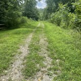 Turkey Hill Trail, Pennsylvania - 2,000 Reviews, Map | AllTrails
