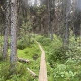 Karst Spring Trail, Alberta, Canada - 1,025 Reviews, Map | AllTrails