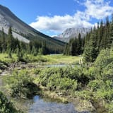Edworthy Falls via Elbow Lake Trail, Alberta, Canada - 1,987 Reviews ...
