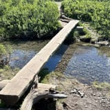 Edworthy Falls via Elbow Lake Trail, Alberta, Canada - 1,987 Reviews ...