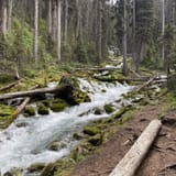 Karst Spring Trail, Alberta, Canada - 1,025 Reviews, Map | AllTrails