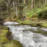 Karst Spring Trail, Alberta, Canada - 1,025 Reviews, Map | AllTrails