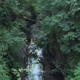 Hidden Falls Nature Park Trail, Oregon - 541 Reviews, Map | AllTrails