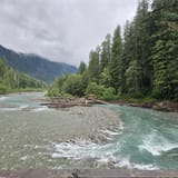 Baker River Trail, Washington - 237 Reviews, Map | AllTrails