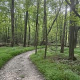 Bull Hill Full Loop, New York - 6,099 Reviews, Map | AllTrails