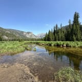 Adams Falls Trail, Colorado - 3,478 Reviews, Map | AllTrails