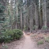 Muir Grove Trail, California - 411 Reviews, Map | AllTrails