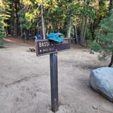Bassi Falls, California - 3,312 Reviews, Map | AllTrails