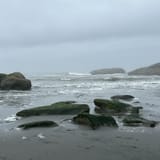 Kalaloch 4th Beach Trail, Washington - 448 Reviews, Map | AllTrails