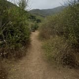 Fryman Canyon Trail, California - 6,341 Reviews, Map | AllTrails