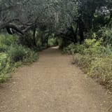 Fryman Canyon Trail, California - 6,341 Reviews, Map | AllTrails
