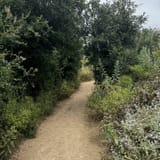 Fryman Canyon Trail, California - 6,341 Reviews, Map | AllTrails