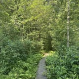 Hudson Pointe Nature Preserve, New York - 794 Reviews, Map | AllTrails