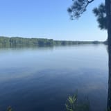 Harris Lake Peninsula Trail, North Carolina - 2,107 Reviews, Map ...