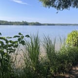 Harris Lake Peninsula Trail, North Carolina - 2,107 Reviews, Map ...