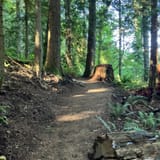 Poo Poo Point Trail, Washington - 6,792 Reviews, Map | AllTrails