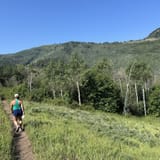 Armstrong Trail to Dawns Trail Loop, Utah - 3,113 Reviews, Map | AllTrails