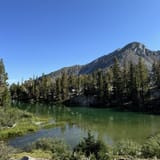 Barney Lake Trail, California - 1,257 Reviews, Map | AllTrails