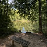 Flat Fork Ridge Trail, Ohio - 1,386 Reviews, Map | AllTrails