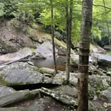 Boone Fork Trail, North Carolina - 3,601 Reviews, Map | AllTrails