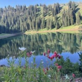 Desolation Lake via Mill D North Fork and Desolation Trail, Utah ...