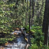 Silver Run Loop Trail, Montana - 546 Reviews, Map | AllTrails