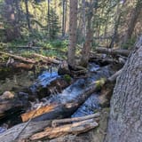 Silver Run Loop Trail, Montana - 546 Reviews, Map | AllTrails