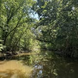 Winterset Park Nature Area Trail, Missouri - 332 Reviews, Map | AllTrails
