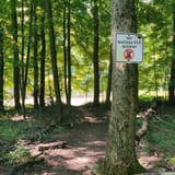 Wadsworth Falls Loop, Connecticut - 4,991 Reviews, Map | AllTrails