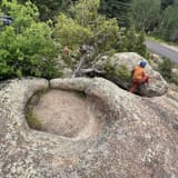 Twin Owls via Lumpy Ridge Loop, Colorado - 1,431 Reviews, Map | AllTrails