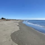 Damon Point State Park Trail, Washington - 509 Reviews, Map | AllTrails