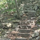 Thousand Steps, Pennsylvania - 1,320 Reviews, Map | AllTrails