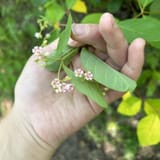 Amisk Wuche Trail, Alberta, Canada - 510 Reviews, Map | AllTrails