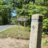 Turk Mountain Trail, Virginia - 1,848 Reviews, Map | AllTrails