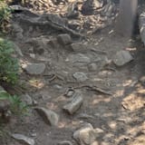 Lava Lake Trail, Montana - 3,512 Reviews, Map | AllTrails