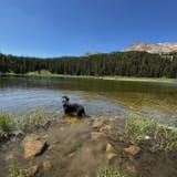Hassell Lake Trail, Colorado - 552 Reviews, Map | AllTrails