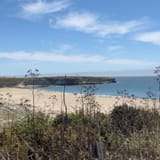 Old Cove Landing Trail, California - 4,111 Reviews, Map | AllTrails